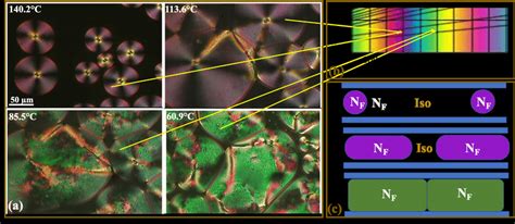 A Polarized Optical Microscopy Pom Images At 4 Different Download Scientific Diagram