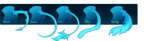 Tails Browbirds