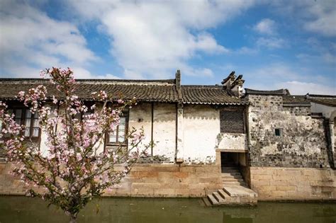 文化中国行前店中宅跨河后花园上海新场古镇申遗进行时 浦江头条 澎湃新闻 The Paper