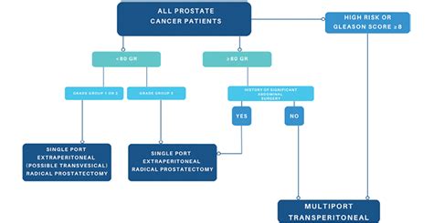 Developing An Algorithm On Multiport And Single Port Use For Robotic