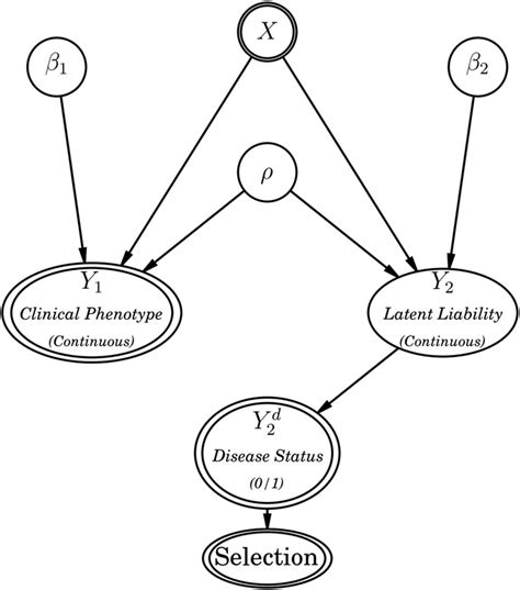 Graphical Representation Of Our Model Download Scientific Diagram