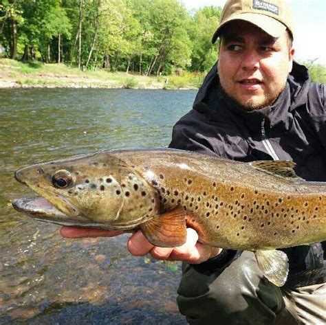Mickaël Andrieu Moniteur Guide De Pêche