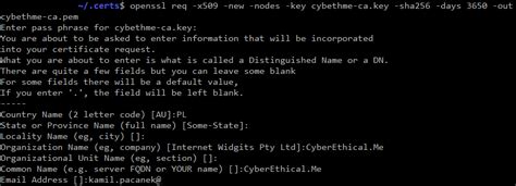 Kasm 工作区解决全新安装时的 错误云o生 云原生