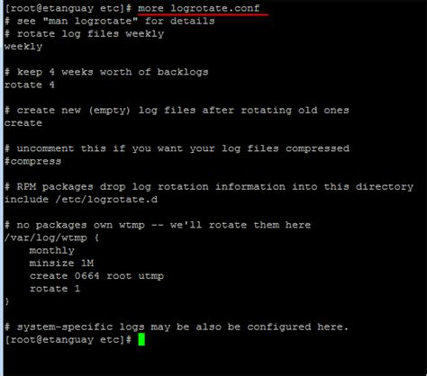 Apache 2 2 How To Gain Control Of Growing Log Files In 3 Separate Directories On My Vps