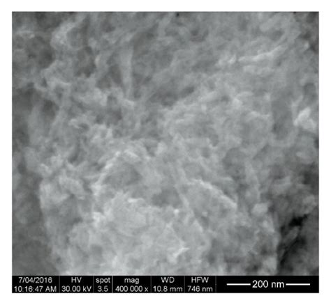 SEM Micrograph Obtained For The HAp A ZnHAp B And ZnHAp C Download Scientific