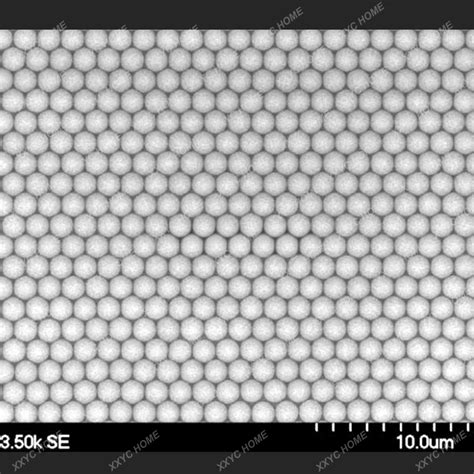 Monodisperse Polystyrene Microspheres 20nm 1000um Am Ps Microballoon 5ml 2 5 