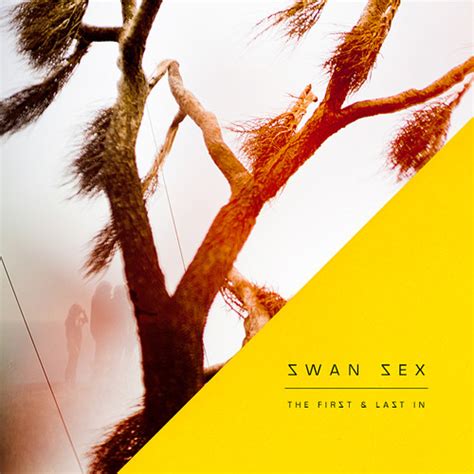 Stream Swan Sex The First And Last In By Random Bastards Listen