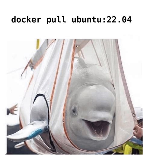Docker Pull Rlinuxmasterrace