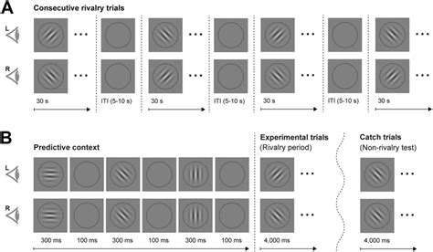 Schematic Of The Trial Procedure During The Binocular Rivalry Download Scientific Diagram