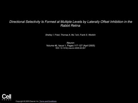 Directional Selectivity Is Formed At Multiple Levels By Laterally