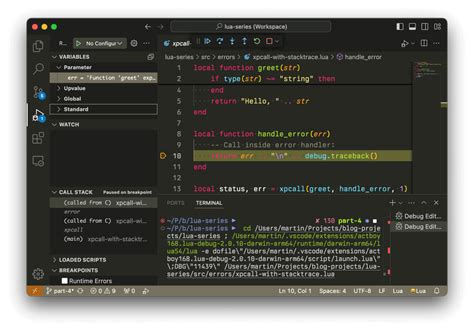 Martin Fieberde Debugging And Profiling Lua