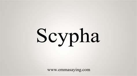 Scypha