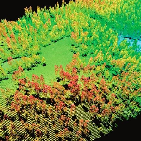pdf mapping forests with lidar provides flexible accurate data with