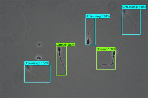 github boguss1225 object detection morphology object detection of