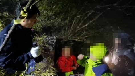 男子带母亲去自然保护区踏青困在山崖，获救后被罚款凤凰网视频凤凰网