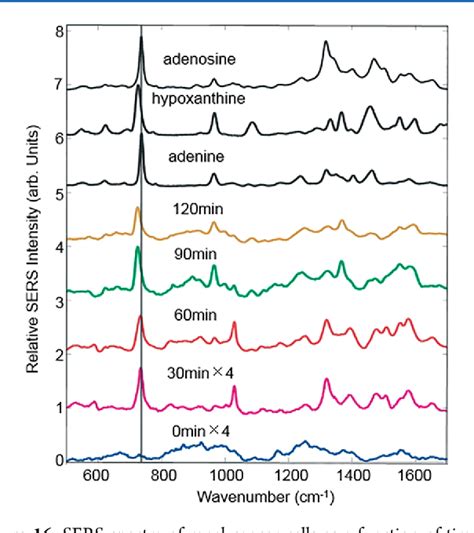 Figure 16 From Surface Enhanced Raman Spectroscopy For Bioanalysis Reliability And Challenges