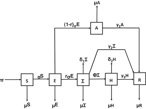 The Schematic Diagram For The Model 1 Download Scientific Diagram