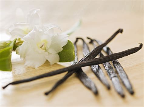 Is Vanilla a Sustainable Beauty Ingredient?
