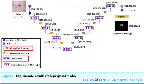 Figure 5 From Mscdnet Based Multi Class Classification Of Skin Cancer