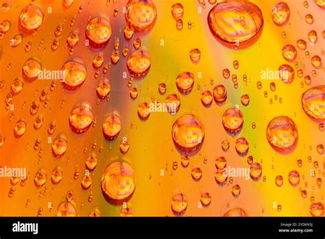 This Macro Photograph Features Multiple Water Droplets Of Various Sizes