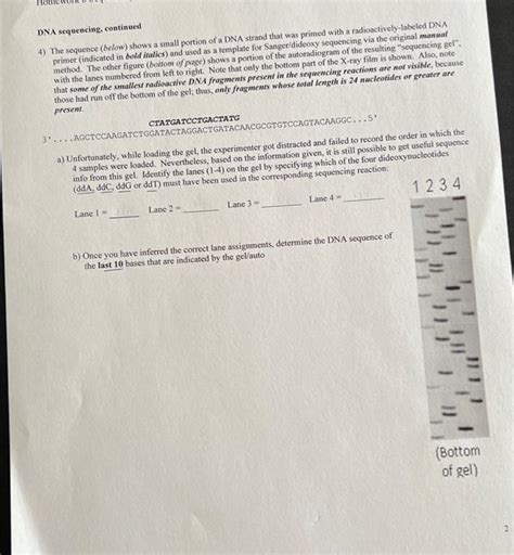 Solved Part 1 Dna Sequencing 1 The Autoradiogram To The