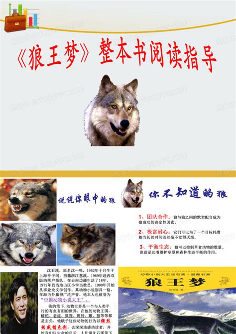 狼王梦整本书阅读指导教学课件PPT模板下载 编号qapgjoka 熊猫办公