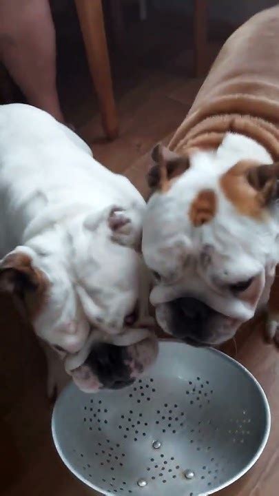 очень страшно мы не знаем что это такое если бы мы знали что это такое но мы не знаем что