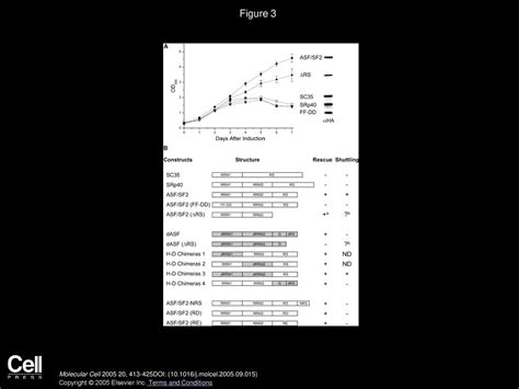 Shengrong Lin Ran Xiao Peiqing Sun Xiangdong Xu Xiang Dong Fu Ppt Download