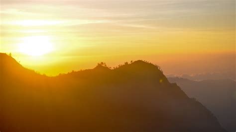 Mind Mingle Linkedin