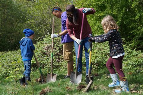 Sun Music Teaming With Teens Wetlands Planting And Of Course Tree Climbing With The Nature