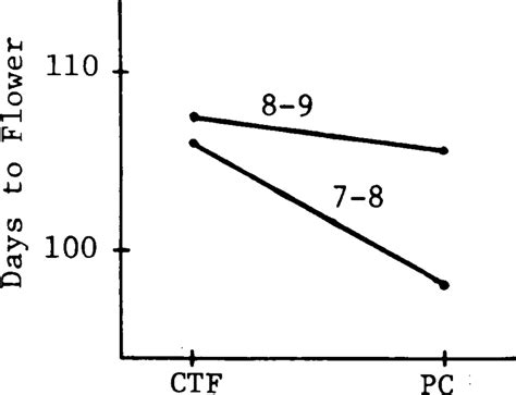 The Interaction Between Bulb Size And Low Temperature Treat­ Ments On