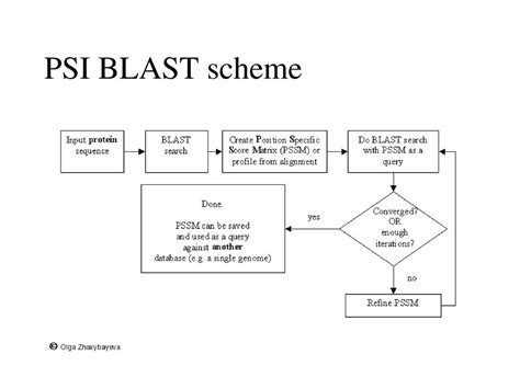 Psi Position Specific Iterated Blast Ppt Download