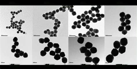 Gold Nanoparticles Citrate Atlantis Bioscience Pte Ltd