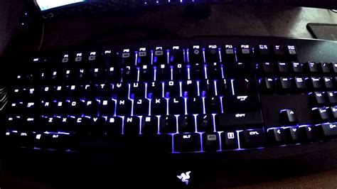 How To Fix Razer Audio Visualizer Not Working YouTube