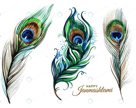 خرید و قیمت وکتور سه پر طاووس مختلف ترب