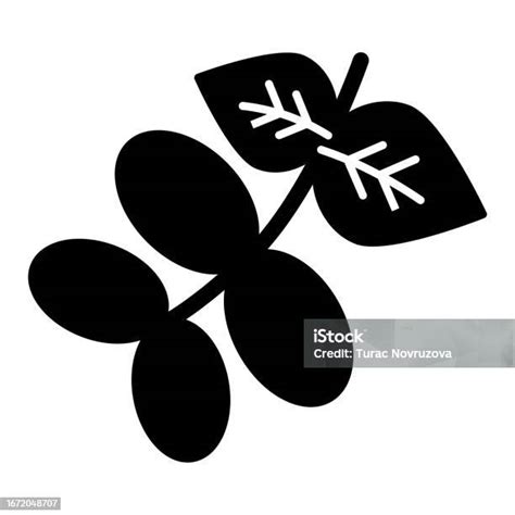 원시 코코아 포드와 씨앗 단단한 아이콘입니다 커피 나뭇잎 곡물 기호 흰색 배경에 상형 문자 스타일의 픽토그램 모바일 웹 디자인을 위한 자연 또는 카페 벡터 그래픽 갈색에