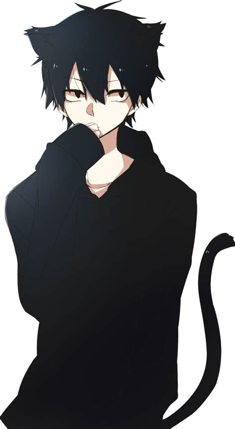 Cute Anime Wolf Boy With Black Hair