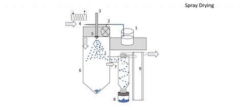 Spray Dry Sphera Encapsulation