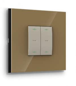 Dual Channel Smart Relay Switch With Scheduler Safety Features