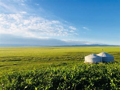 МУБИС ийн ОЮУТНЫ 1 Р ДОТУУР БАЙР Facebook