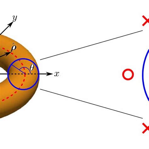 Lhs Shows The Sketch Of Torus Geometry With The Red Dashed Line Being
