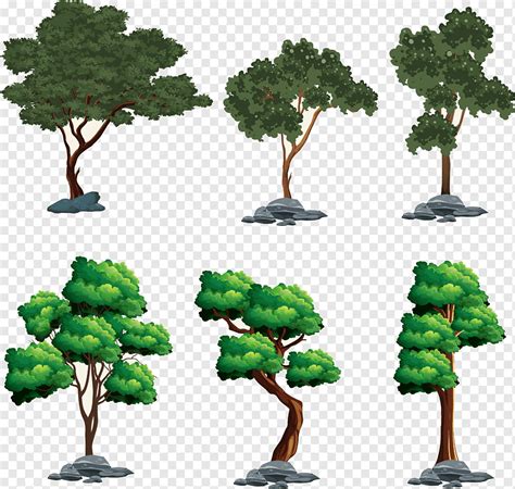 Trees Icons Png PNGWing
