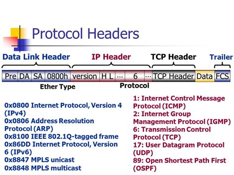 Internet Protocol Header