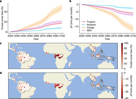impact of projected future forest loss on annual mean precipitation a