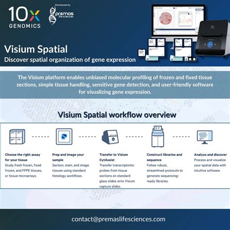Thrilled To Unveil 10x Genomics Visium Spatial Enhancing Your Research
