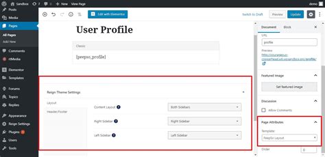 How To Set Both Sidebars Wbcom Designs Docs