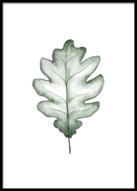 Watercolor Oak Leaf Poster Art Prints Online Leaf Illustration Buy