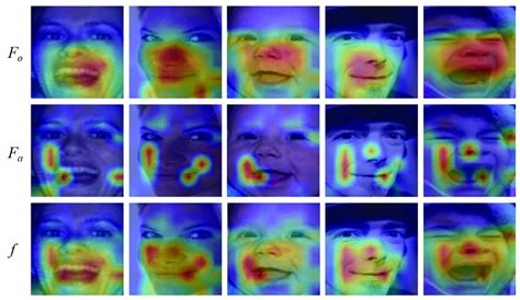 Visual Comparison Of Class Activation Mapping Cam Among Input Download Scientific Diagram