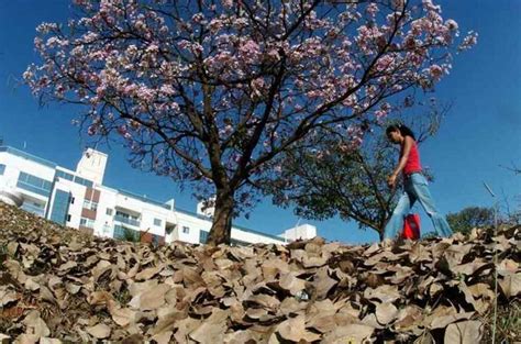 Outono No Df Deve Ter Temperaturas Elevadas E Chuvas Abaixo Da Média