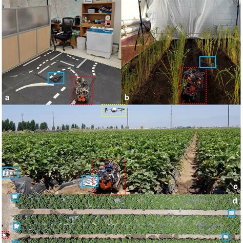 Data Collection Setup For The Agrobot Dataset Dotted Red Insets Show Download Scientific